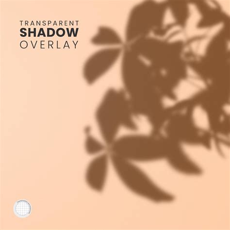 투명 식물 잎 그림자 오버레이 템플릿 무료 Psd 파일