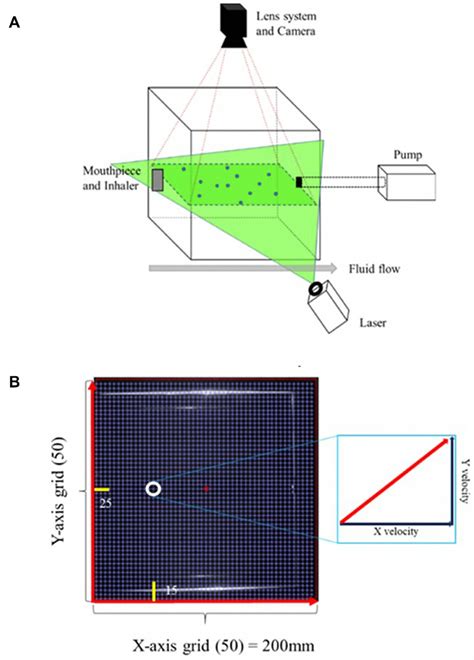 Particle Image Velocimetry A Schematic Of The Piv System And B
