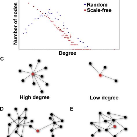 Overview Of Topological Features Of Biological Networks A Comparison Download Scientific