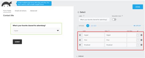 Set Unique Placeholders In Wordpress Forms With Ninja Forms