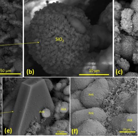 Silica Nodules In Sidewall Core Samples Recovered From Depths Of A B