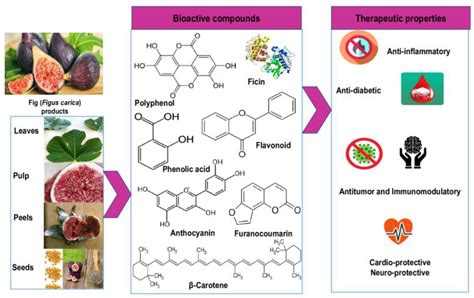 Industrial Application And Health Prospective Of Fig Ficus Carica By Products