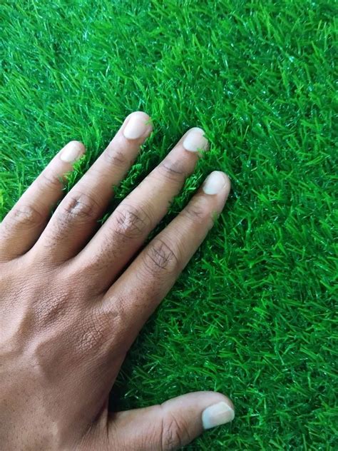 Pvc Artificial Grass At Best Price In Ranchi Id 2852445572891