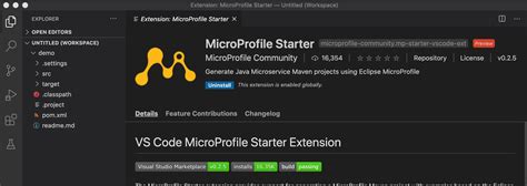 Focus On Explorer Outline View After Project Generation Issue Microshed Mp Starter