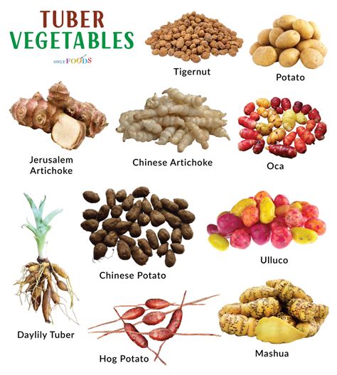Types Of Root Vegetables List With Pictures