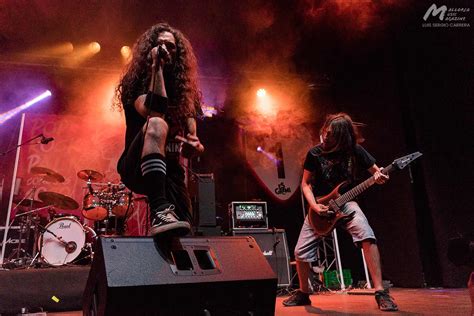 Taste My Sweet Revenge En Es Gremi Mallorca Music Magazine