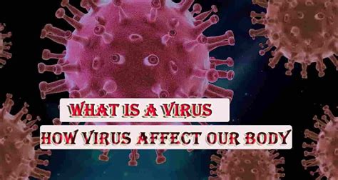 What Is A Virus And How It Affect Our Body