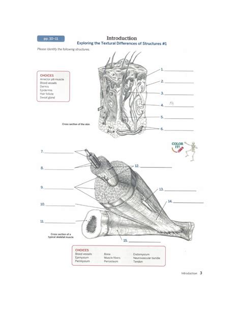 Anatomy Workbook Pages 3 5 Anatomy And Cell Biology 2221 Studocu