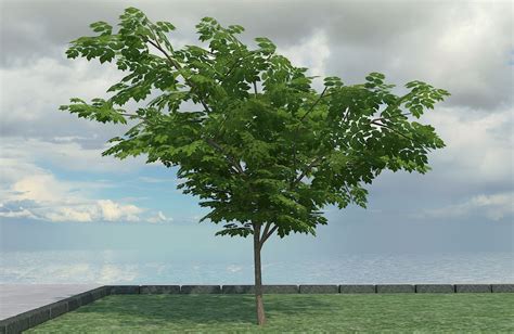 낮은 폴리 트리 컬렉션 3d 모델 36 Max Free3d 낮은 폴리 트리 컬렉션 3d 모델 36 Max Free3d