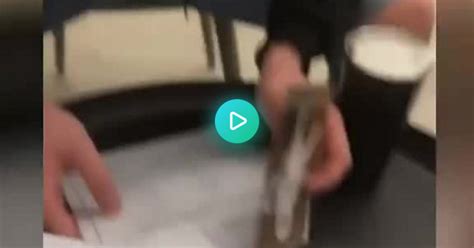 The New Grading Scale Album On Imgur