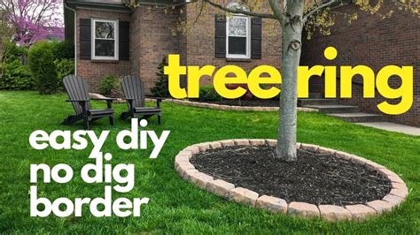 Tree Border