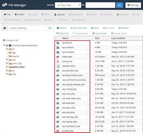 How To View Files And Folders On The CPanel Server In The File Manager