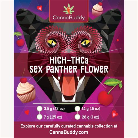 High Thca Sex Panther Flower Webehigh