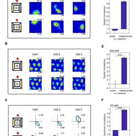 Head Direction Cell Firing In Real And Virtual Environments A B