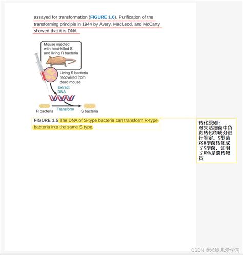 gene xii 学习笔记 1 2 基因xii pdf csdn博客