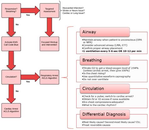 Free 2024 Acls Study Guide Acls Made Easy Artofit