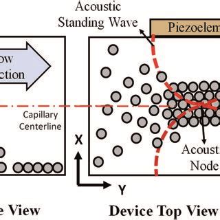 Schematic Of The Acoustic Flow Cell And Acoustic Assembly Process A Download Scientific