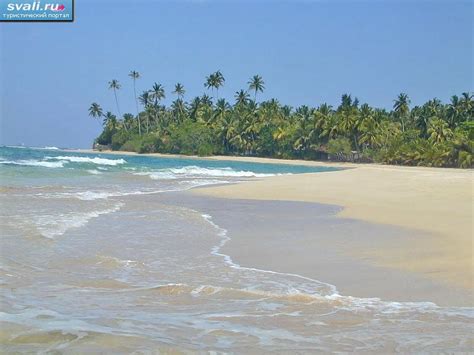 Пляж Шри Ланка Шри Ланка фотографии Туристический портал Svali Ru