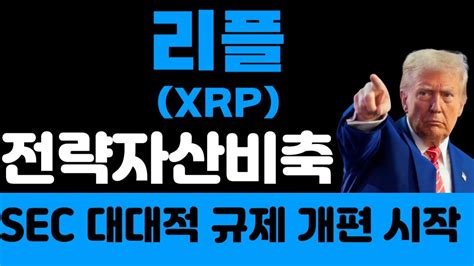 리플 코인 전략자산비축 역대급 Sec규제개편 지금부터 불장이 시작됐다 리플 리플코인 엑스알피 엑스알피코인