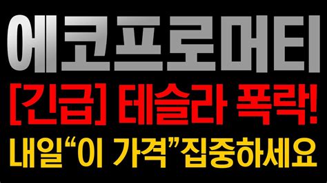 에코프로머티 주가전망 🔴 긴급 테슬라 폭락 내일 이 가격 집중하세요 Youtube