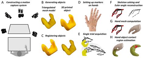 Estimation Of Contact Regions Between Hands And Objects During Human