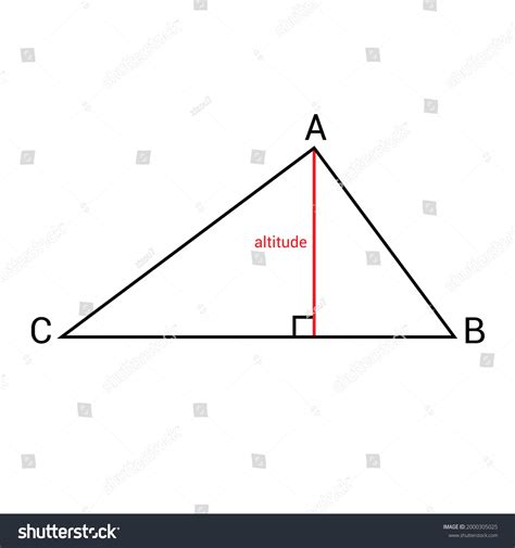 Altitude Triangle Geometry Stock Vector Royalty Free 2000305025
