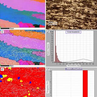 A EBSD Grain Maps B Optical Image Of BM Exhibiting A Typical Download Scientific Diagram