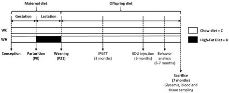 Nutrients Free Full Text Multi Omics Data Integration Reveals Sex