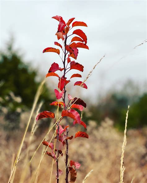 Running Meditation And Life In This Story I Would Like To Share How