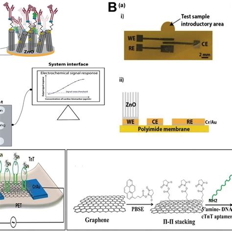 Flexible Biochemical Sensors For Cancers A Low Cost Flexible Plasmonic Download Scientific