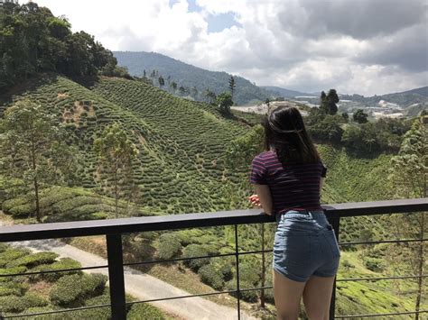 Mountain Bubble Butt Scrolller Mountain Bubble Butt Scrolller