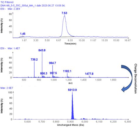 Qualitative Analysis Of Oligonucleotides Using The Advion Interchim Scientific® Hplc Uv Ms