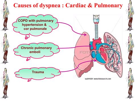 Dyspnea For Nursing Pptx