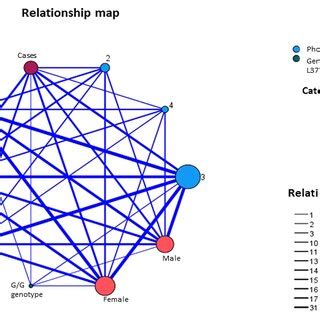 The Relationship Diagram Between Phototype Sex Groups And Download Scientific Diagram