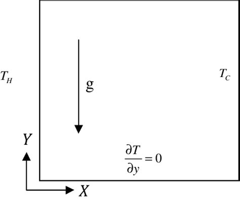 Geometry And Boundary Conditions Of The Natural Convection Heat Download Scientific Diagram