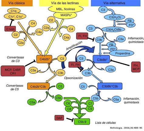 Sistema Complemento Via Classica Retoedu