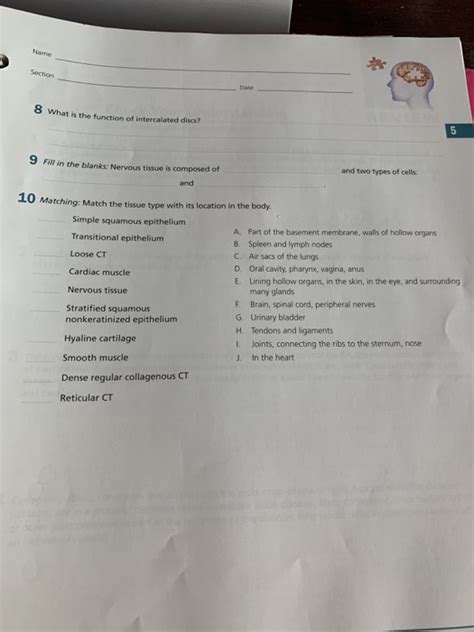 solved name section 8 what is the function of intercalated