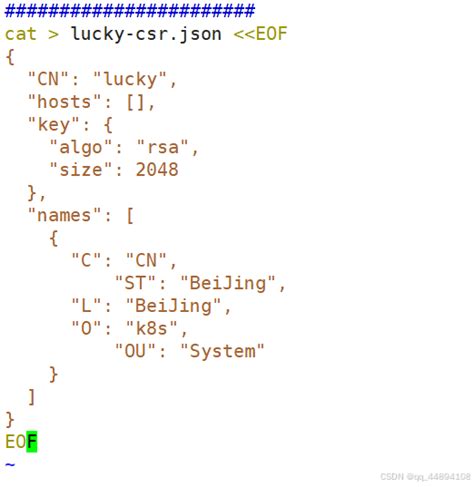 12、k8s安全机制cfssl Gencert Cacapem Csdn博客