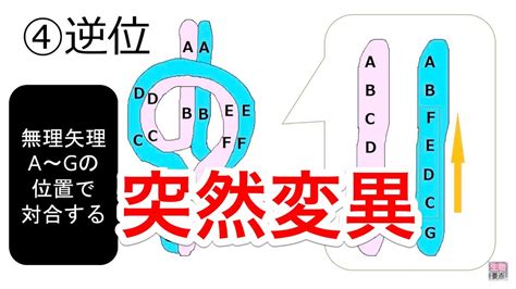 遺伝子突然変異と染色体突然変異 高校生物 Youtube