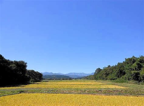 会心の空 鉄馬と青い空