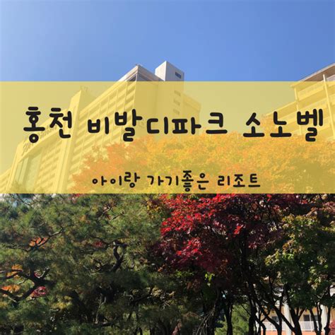 홍천 비발디파크 소노벨 B동 패밀리 오크 취사놀거리 식당 부대시설 네이버 블로그