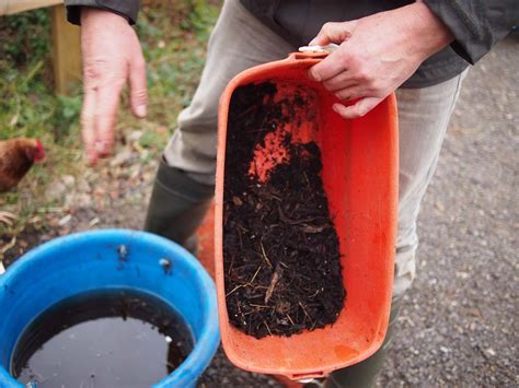 Compost Extract Richard Mudhar