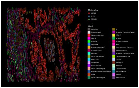 Analysis Of Image Based Spatial Data In Seurat • Seurat