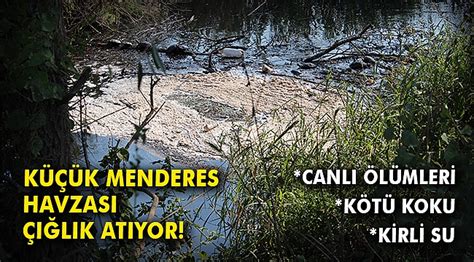 K K Menderes Havzas L K At Yor Canl L Mleri K T Koku Kirli Su Zmir Haberleri