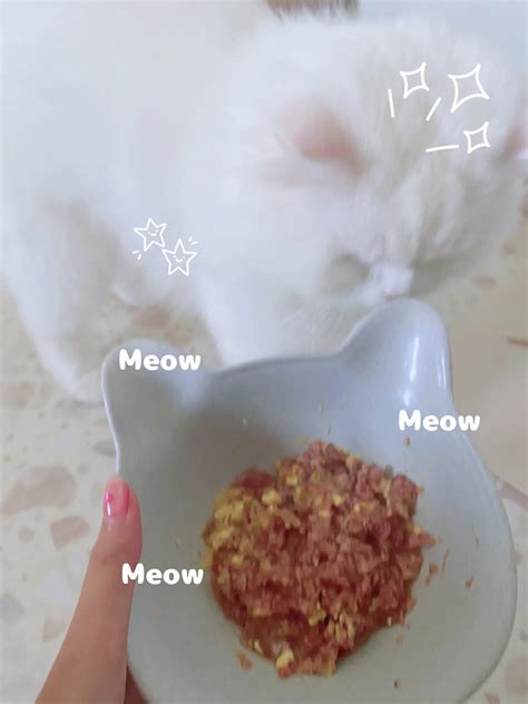 อาหารเสริมน้องเเมวที่ต้องซื้อซ้ำ แกลเลอรีที่โพสต์โดย Minkiee Lemon8