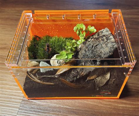 Tarantula Enclosures And Substrates — Spider Boxx Bio Dude And Tarantula
