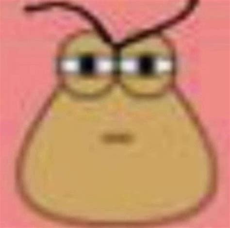 Pin De Онжик Cherish En Q Imágenes Divertidas De Perfil Imágenes Divertidas Imágenes Graciosas