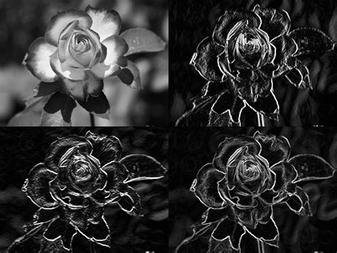 【画像処理基礎】ノイズを除去しつつエッジを抽出するソーベルフィルタ Craft Gogo