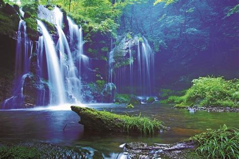 行ったつもり絶景苔むした岩を流れ落ちる神秘の滝兵庫猿壺の滝ウォーカープラス