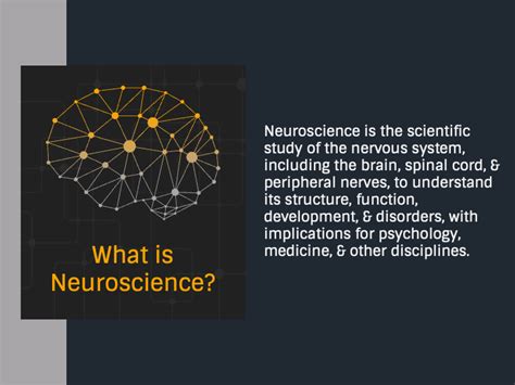 Neuroscience PowerPoint And Google Slides Template PPT Slides